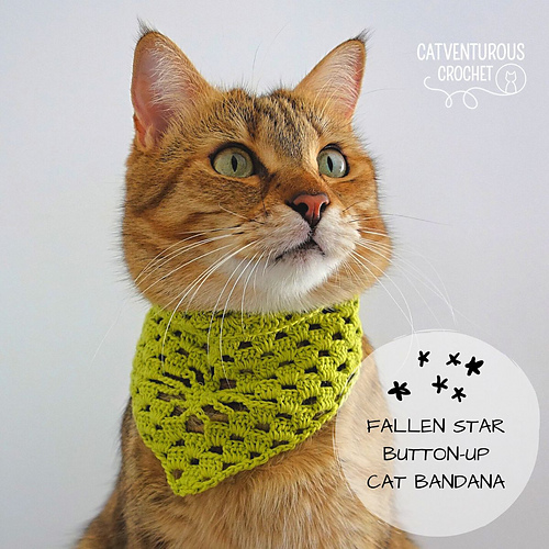 Ravelry: Fallen Star Button Up Cat Bandana pattern by Charlotte Aimee