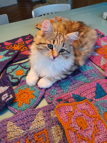 Ravelry: Chacanina's Amma CAL mosaic blanket