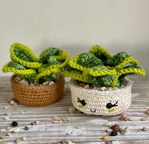 Ravelry: Dwarf Snake Plant pattern by Nicole Mansfield