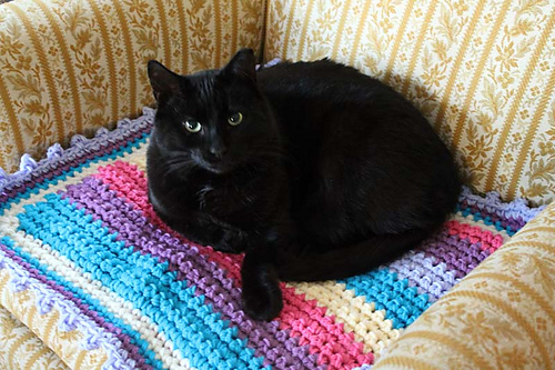 Ravelry: CorrineMB's Crazy Cat Lady Catghan