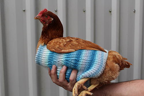 Ravelry: Craftsmumship's Chux Tux