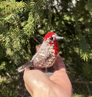 Ravelry: House Finch Bird pattern by CrochetCartel Co