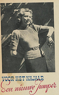 Ravelry: Een nieuwe jumper voor het najaar pattern by Het Rijk der Vrouw