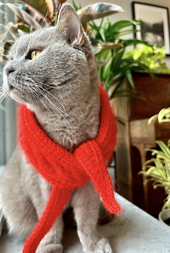 Ravelry: Ginger Scarf pattern by Dorothy Offeciers