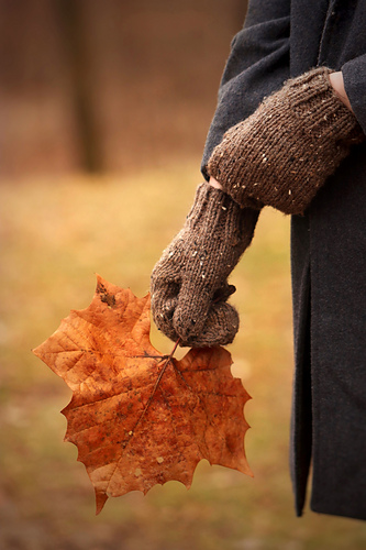 Ravelry: The Hearth Mittens pattern by Darling Jadore