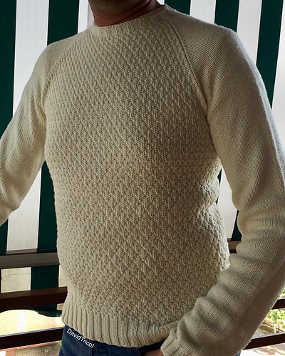 Ravelry: Raglan Sweater - Adult Pullover pattern by Ann Budd