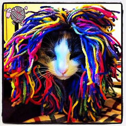 Ravelry: Kitty Cat Wig pattern by Debi Dearest