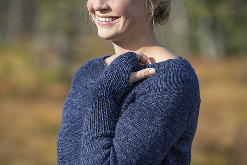 Ravelry: Raglan Garment pattern by Design Segerbrand