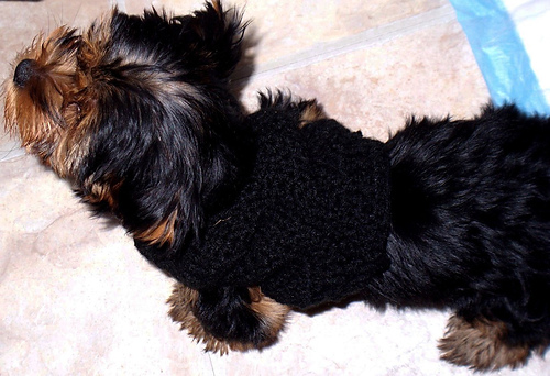 Ravelry: Dog Bolero Vest pattern by Diana Martin
