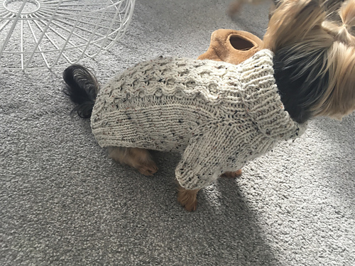 Ravelry: Tweed Dog Sweater pattern by Dotty Patterns