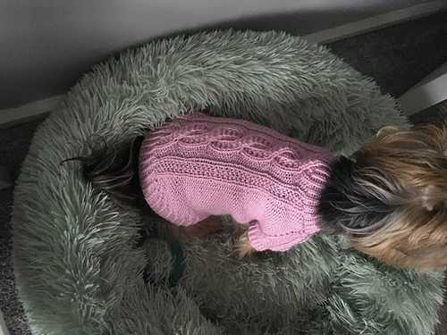 Ravelry: Pink Dog Sweater pattern by Dotty Patterns
