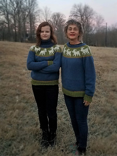 Ravelry: Old Goats Pullover pattern by Rachel Leverton