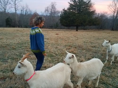 Ravelry: Old Goats Pullover pattern by Rachel Leverton