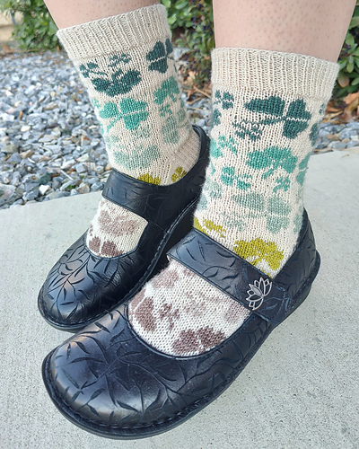 Ravelry Shamrockin Socks Pattern By Jennifer Beaulieu
