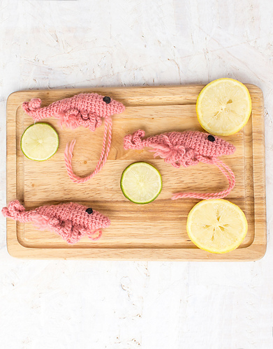 Ravelry: Nathan the Prawn pattern by Kerry Lord