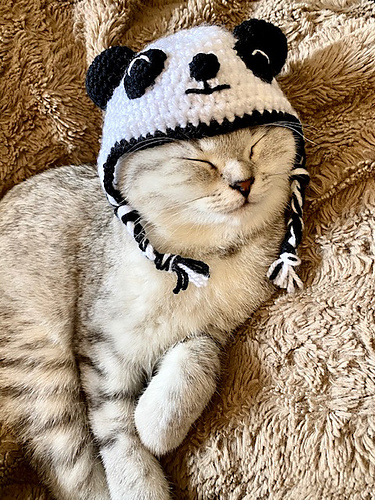 Ravelry: Bonnet panda chaton pattern by Emma Raymond