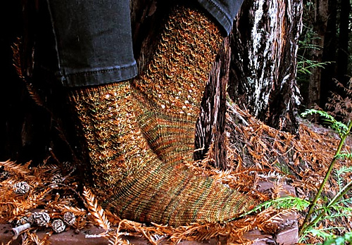 Ravelry: Stout Grove Socks pattern by Amy Loberg (FiberWild!)