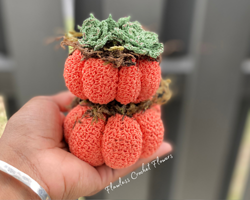 Ravelry: Succulent Topped Pumpkins pattern by Leticia Lebron