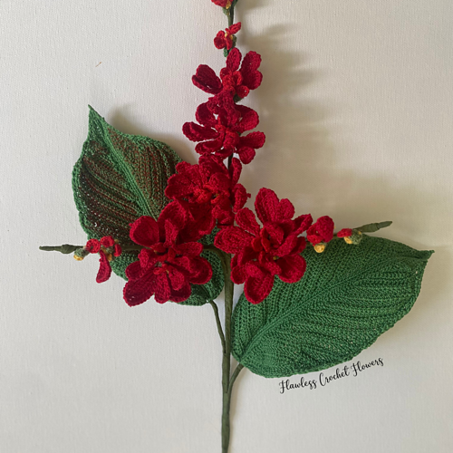Ravelry: Double Chaconia Poinsettia pattern by Leticia Lebron
