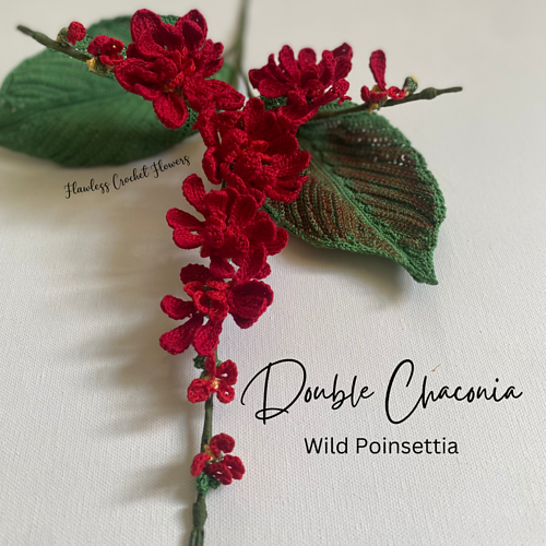 Ravelry: Double Chaconia Poinsettia pattern by Leticia Lebron