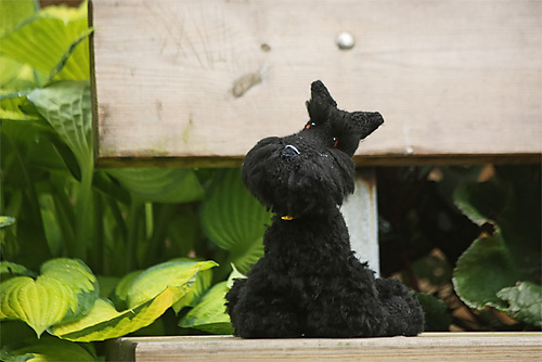 Ravelry: Scottish terrier pattern by Jessica Pilhede