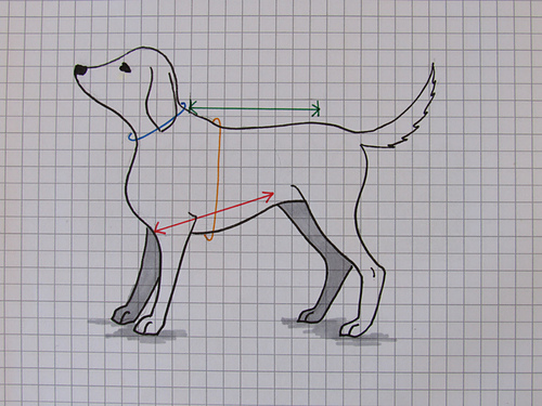 Ravelry: Fred's Chunky Dog Jumper pattern by Gillian Buckerfield