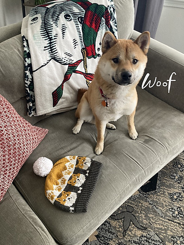 Ravelry: Shiba Dog Hat pattern by William Hou