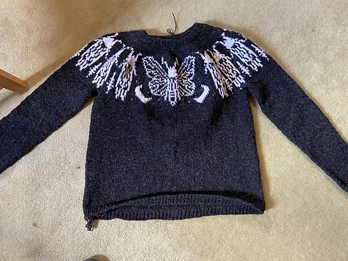 Ravelry: Brood X: Cicada Sweater pattern by Margot Erdmann
