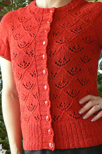Ravelry: #19 Lace Pat Cardigan pattern by Lisa Hoffman
