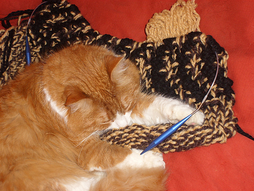 Ravelry: Gwillewyn's Roadkill Rug v. 2.0