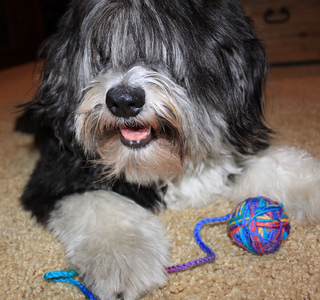 Ravelry: Ball and String Dog Toy pattern by Alisa's Designs