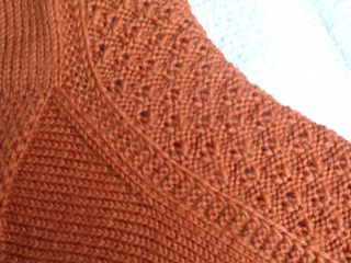 Ravelry: The Bramble Socks pattern by Haxann Evers