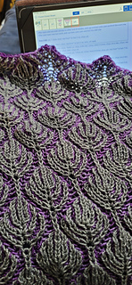 Ravelry: HecatesChilde's Frozen forest shawl