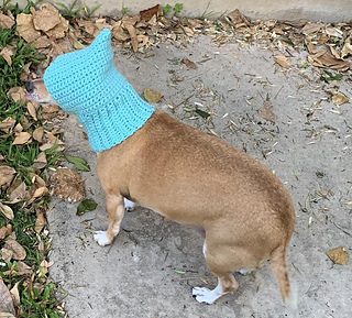 Ravelry: Terrier Pomeranian Dog Hood pattern by Hello Gabby