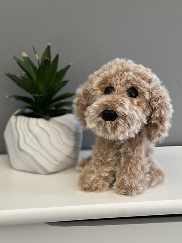 Ravelry: Winnie the Cockapoo poodle mix pattern by Hannah Lithgow