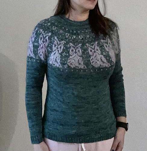 Ravelry: Night Owl Sweater pattern by Meghan Regan