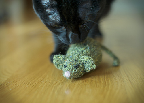 Ravelry: Jingle Mouse - Cat Toy pattern by Dooley and Spud