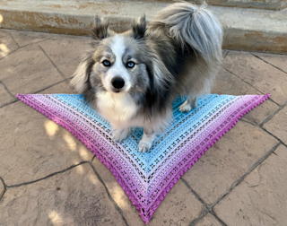 Ravelry: The Malfy Shawl pattern by Huskyberry