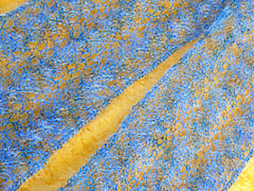 Ravelry: Pacifica scarf pattern by Elizabeth McNamee