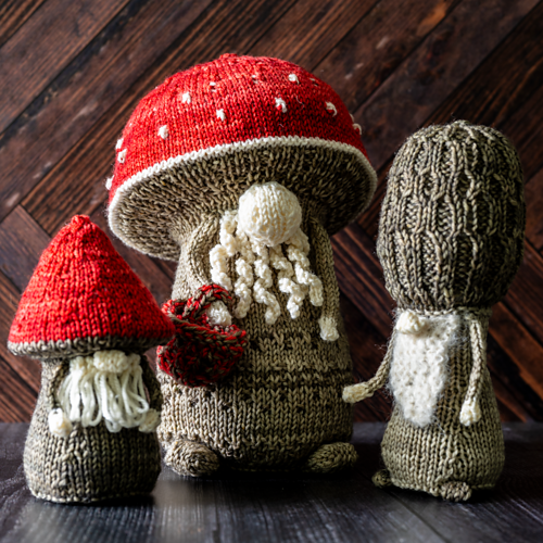 Ravelry: Professor Fungi pattern by Sarah Schira