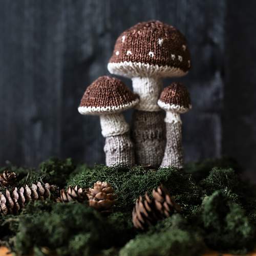 Ravelry: Wee Mushroom Trio pattern by Sarah Schira