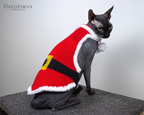 Ravelry: Christmas cape for cat pattern by Irina Khoroshaeva