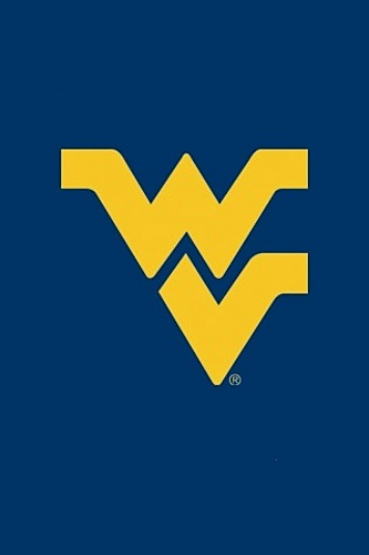 Ravelry: WVU Logo Afghan pattern by Brynn Riordan