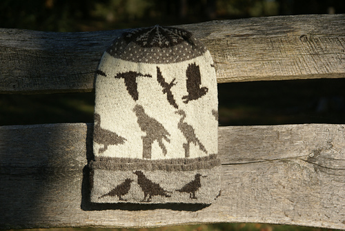 Ravelry: Bird Watcher's Hat pattern by Janet Hof