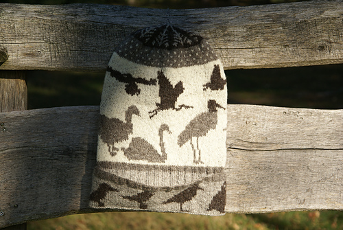 Ravelry: Bird Watcher's Hat pattern by Janet Hof