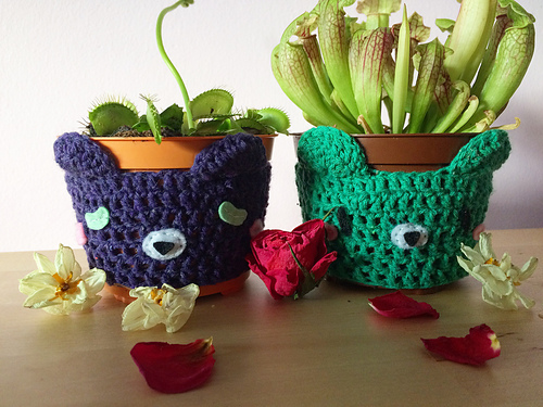 Ravelry: Cute Bear Plant Pot Cosy pattern by NoThings Unimaginable