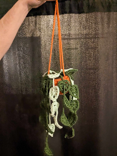 Ravelry: Hanging Monstera Plant pattern by Dani Zerr