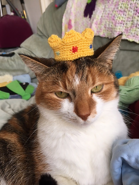 Ravelry: Kitty crown pattern by Jazmo Tennant