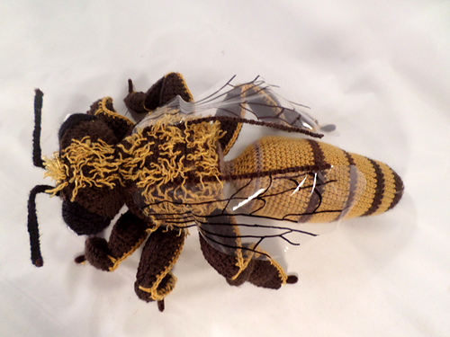 Ravelry: Honey Bee: A Buggable pattern by Jenna Wingate