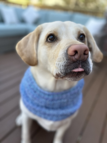 Ravelry: Chimney Tops Trail Cowl pattern by Jennifer Myrick